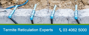 Termite Reticulation System | Pro Pest Control Melbourne