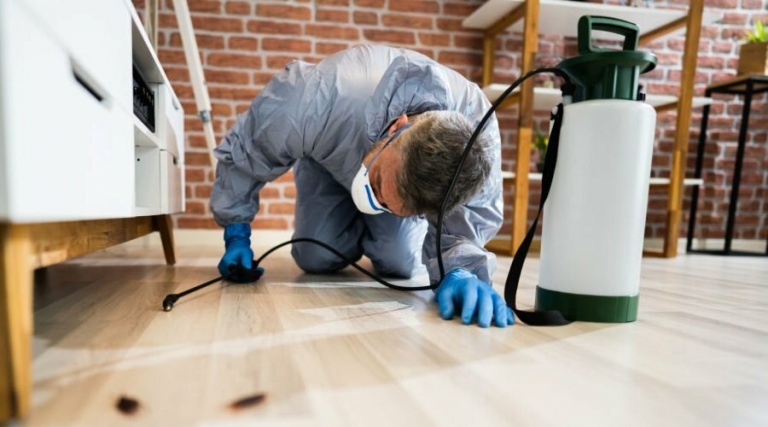 Pest Control Licensing and Regulations in Victoria