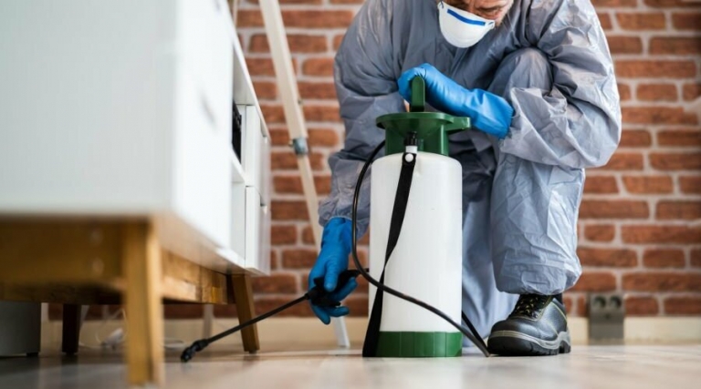 Pest Control Licensing and Regulations in Victoria